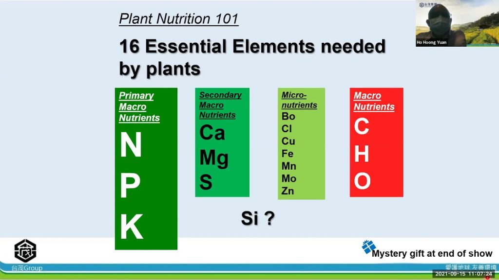 What Are The 16 Essential Elements Every [Subject] Enthusiast Should Know?